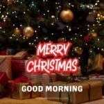 35+ Good Morning Christmas Images & Wishes [2025]