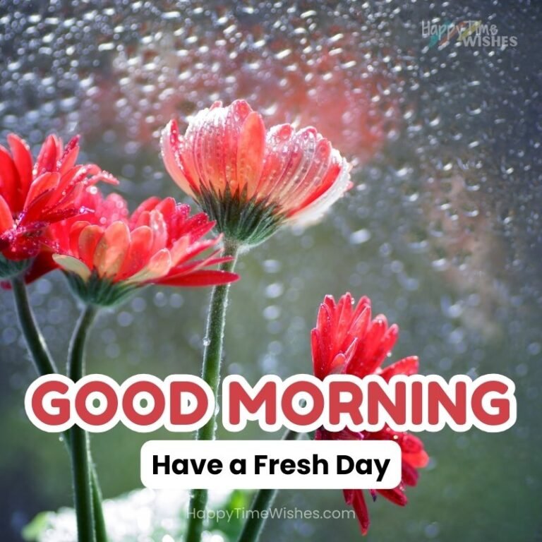 35+ Free Good Morning Raining Images with Quotes [2025]