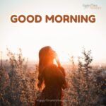35+ Free Good Morning Sunshine Images & Quotes [2025]