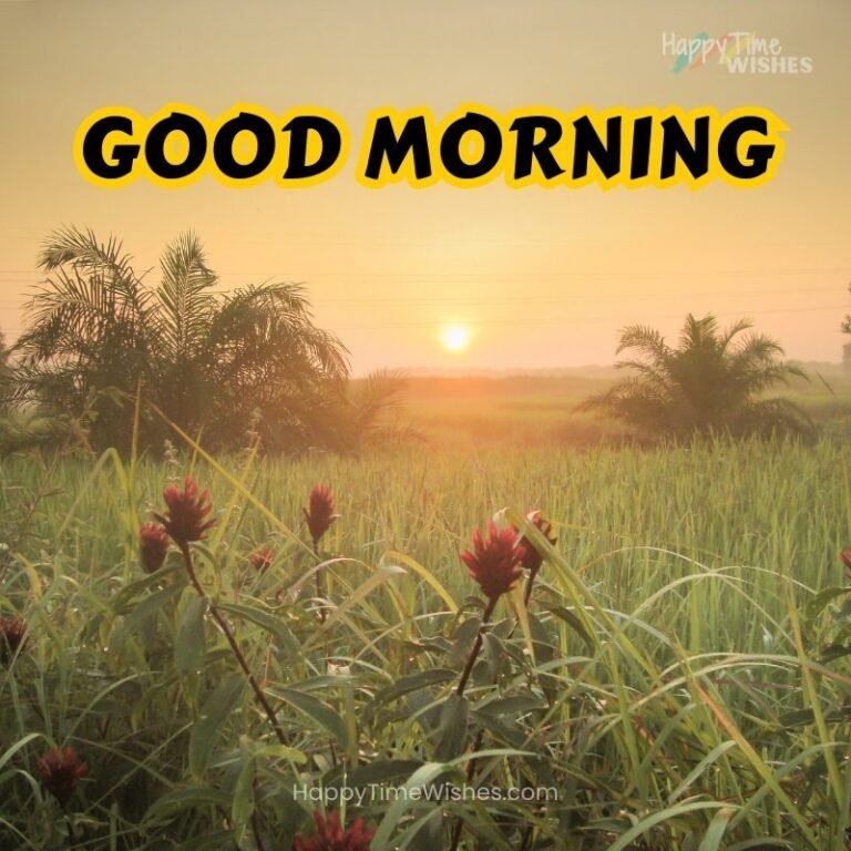 35+ Free Good Morning Sunshine Images & Quotes [2025]