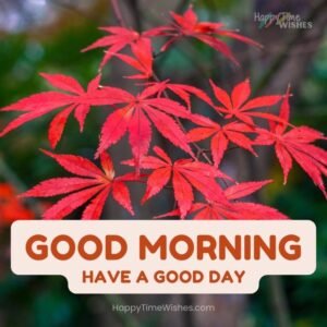 30+ Free Good Morning Fall Images & Quotes [2025]