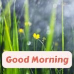35+ Free Good Morning Raining Images with Quotes [2025]