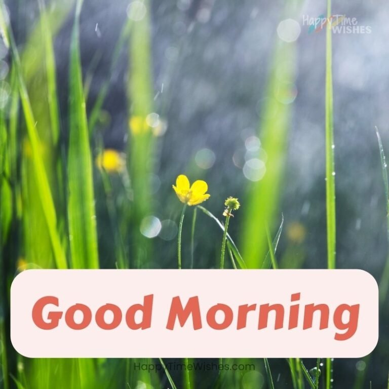 35+ Free Good Morning Raining Images with Quotes [2025]