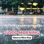 35+ Free Good Morning Raining Images with Quotes [2025]