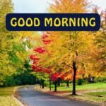 30+ Free Good Morning Fall Images & Quotes [2025]