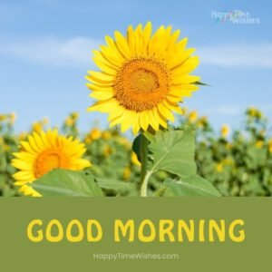 35+ Free Good Morning Sunshine Images & Quotes [2025]