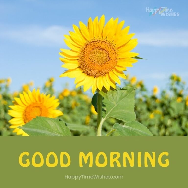35+ Free Good Morning Sunshine Images & Quotes [2025]