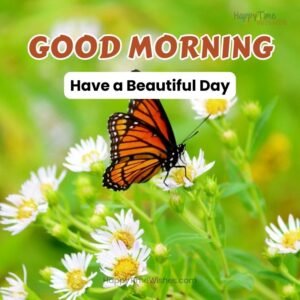 32+ Free Good Morning Butterfly Images & Quotes [2025]