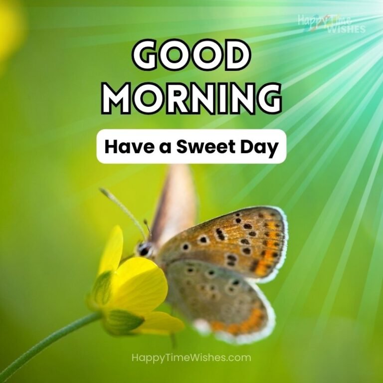 32+ Free Good Morning Butterfly Images & Quotes [2025]