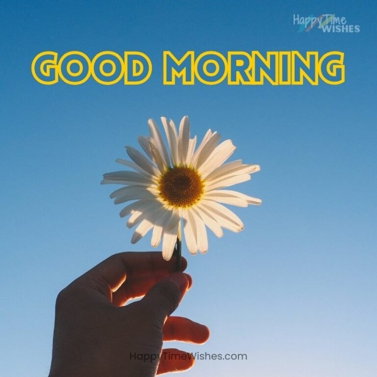 35+ Free Good Morning Sunshine Images & Quotes [2025]