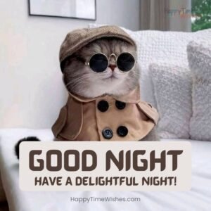 35+ Funny Good Night Images & Quotes