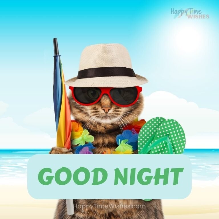 35+ Funny Good Night Images & Quotes