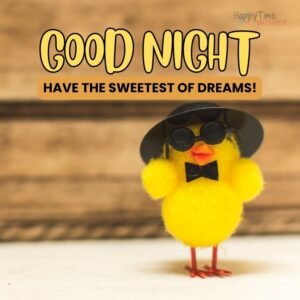35+ Funny Good Night Images & Quotes