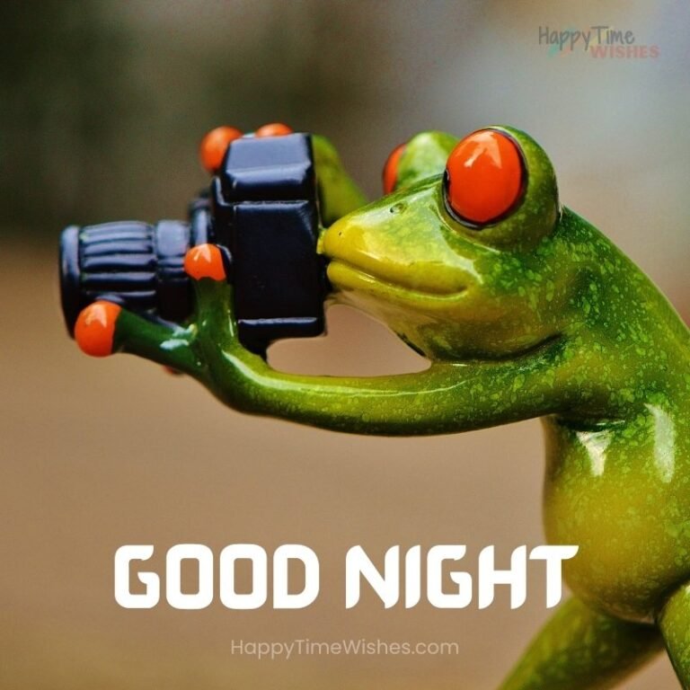 35+ Funny Good Night Images & Quotes