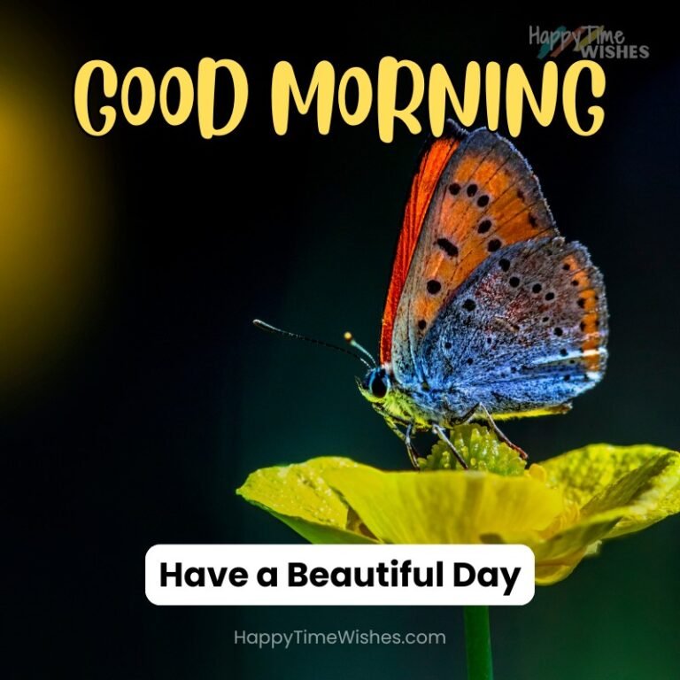 32+ Free Good Morning Butterfly Images & Quotes [2025]
