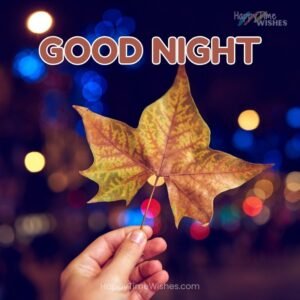 40+ Good Night Fall Images & Quotes