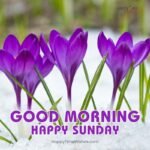 40+ Good Morning Happy Sunday Images & Quotes [2025]
