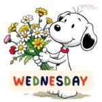 30+ Snoopy Wednesday Images & Quotes [2025]